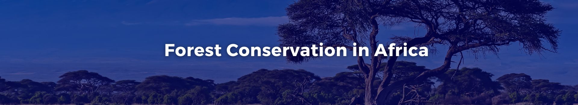 AIU Online Live Conferences with Experts in trending topics