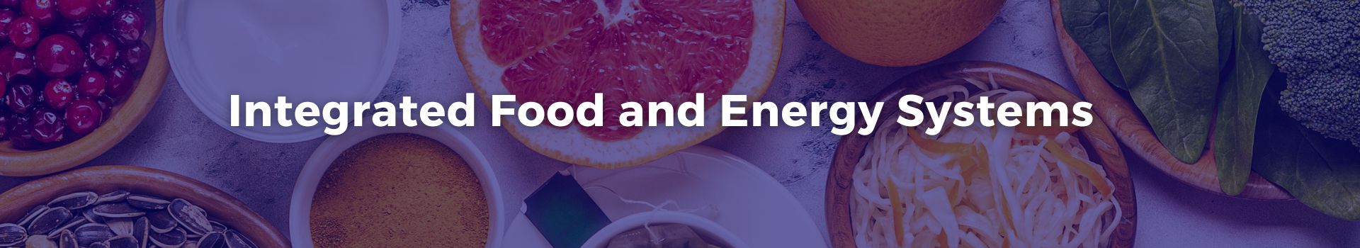 AIU Online Live Conferences with Experts in trending topics